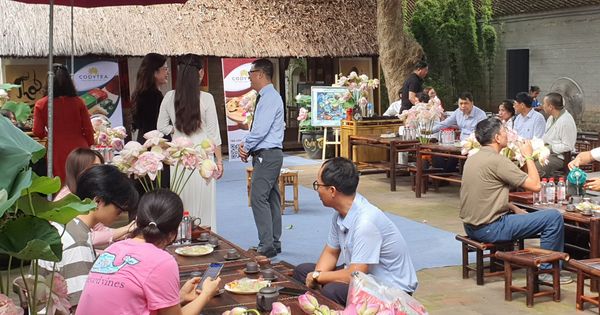 Lễ ra mắt Chương trình Trải nghiệm Trà ướp sen Hồ Tây CODY TEA - Tinh ...